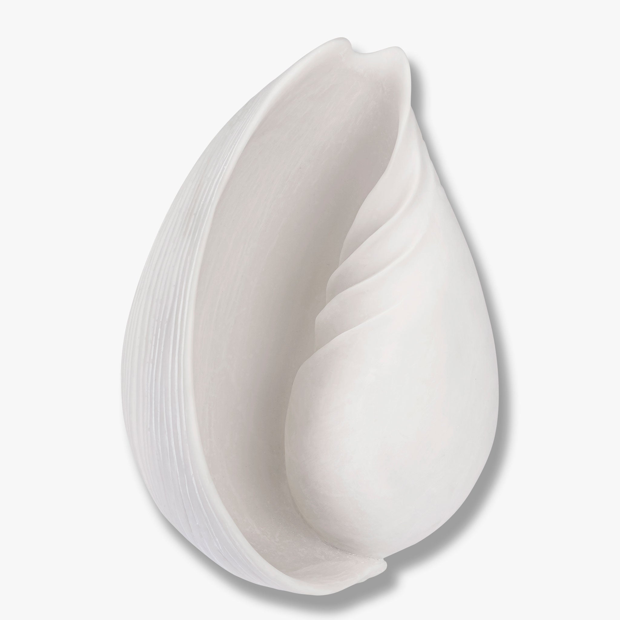 CONCH shell, large, Off-white – Mette Ditmer - International