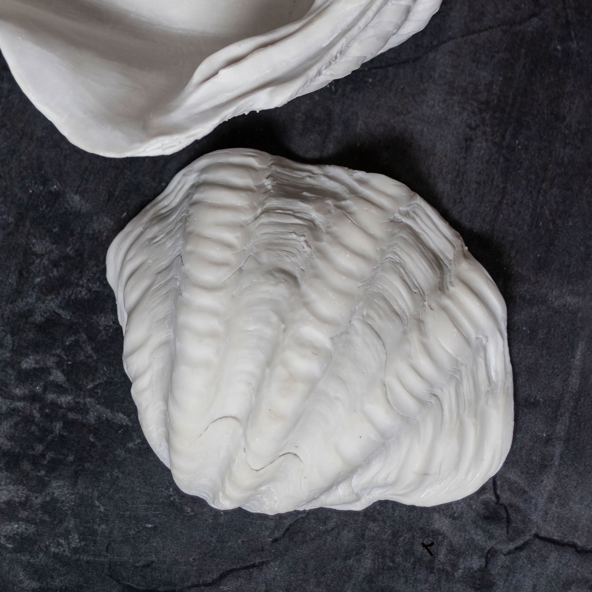 SHELL, small – Mette Ditmer - International